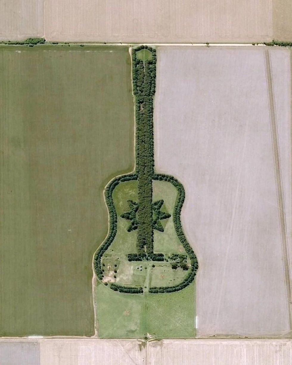 Guitar Shaped Forest with 7,000 Trees - Kalams World Records