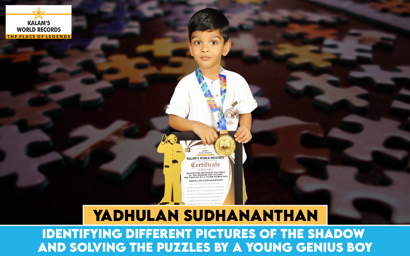 Identifying Different Pictures of the Shadow and Solving the Puzzles by ...